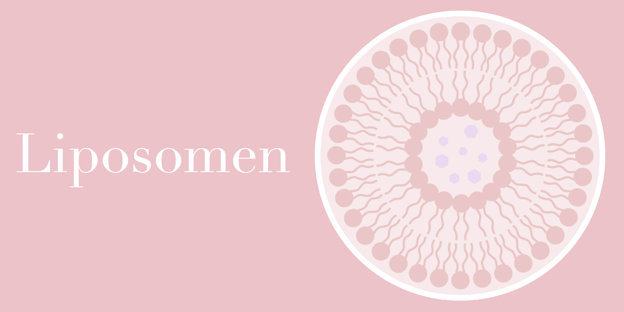 Liposomes - Dr. Jetske Ultee blog